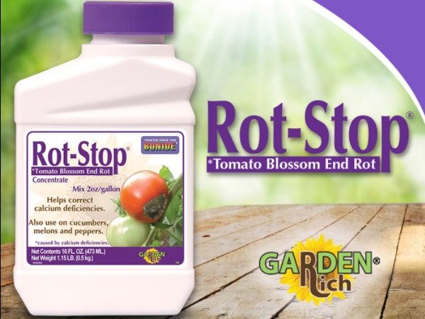 What’s wrong with the tomatoes? – The Pottymouth Gardener